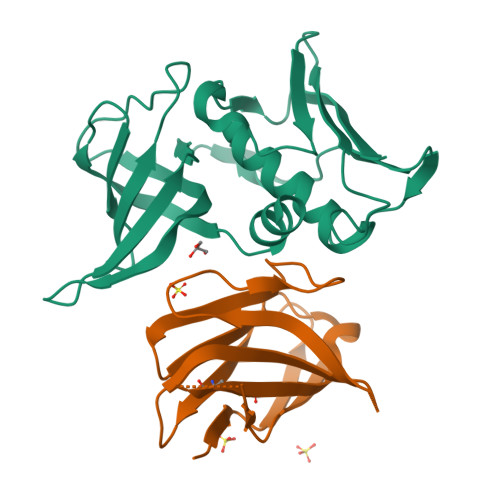RCSB PDB - 3MFG: Crystal structure of Toxic Shock Syndrome Toxin 1 ...