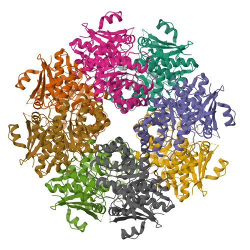 RCSB PDB - 3MQT: Crystal structure of a mandelate racemase/muconate ...