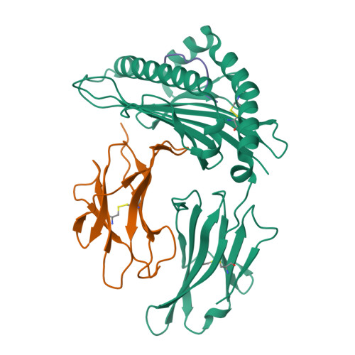 RCSB PDB - 3MRL: Crystal Structure of MHC class I HLA-A2 molecule ...