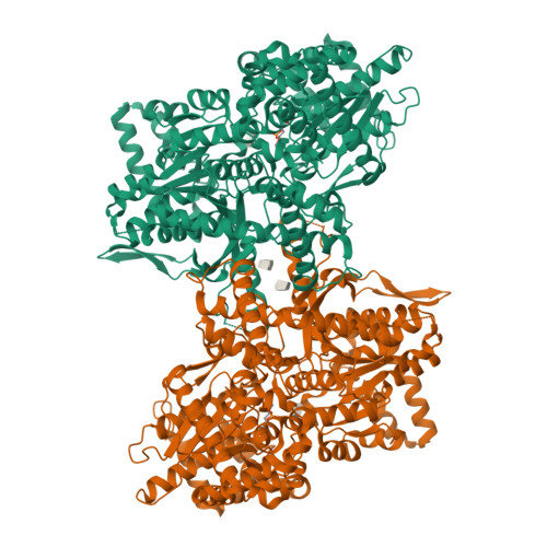 RCSB PDB - 3MTA: Glycogen phosphorylase complexed with 3 ...