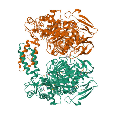 RCSB PDB - 3N04: THE CRYSTAL STRUCTURE OF THE alpha-Glucosidase (FAMILY ...