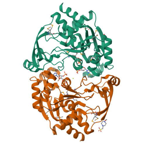 RCSB PDB - 3N0S: Crystal structure of BA2930 mutant (H183A) in complex ...