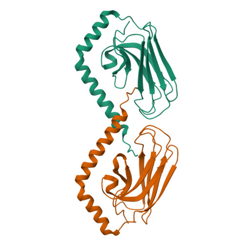 RCSB PDB - 3N8E: Substrate binding domain of the human Heat Shock 70kDa ...