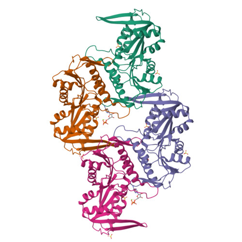 RCSB PDB - 3NAG: Crystal structure of the phosphoribosylpyrophosphate ...