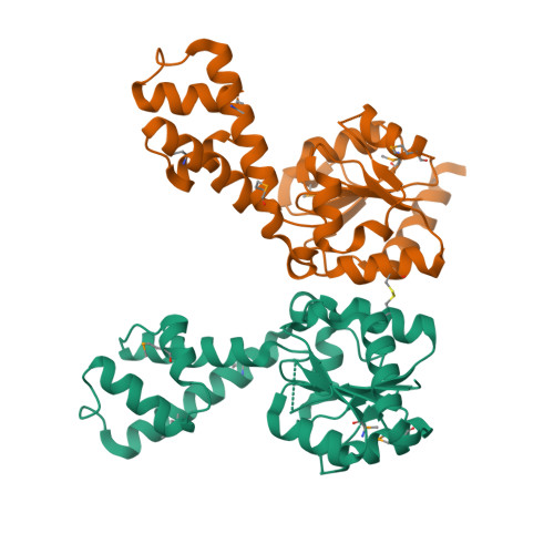 RCSB PDB - 3NAS: The crystal structure of beta-phosphoglucomutase from ...