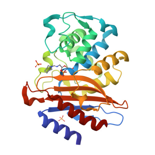 RCSB PDB - 3NC8: Crystal Structure of BlaC-E166A covalently bound with ...