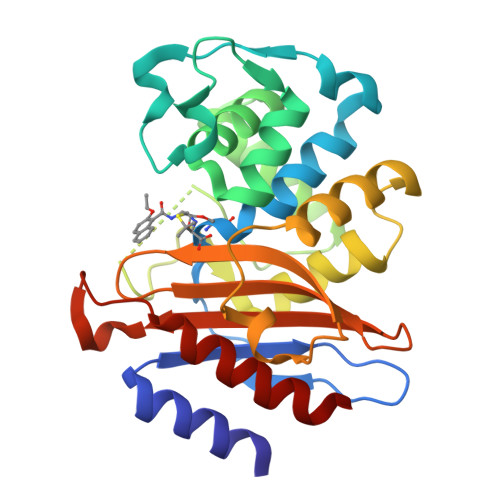 RCSB PDB - 3NCK: Crystal Structure of BlaC-E166A covalently bound with ...