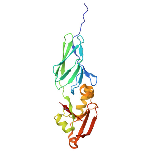 RCSB PDB - 3NCX: Crystal structure of EHEC O157:H7 intimin mutant