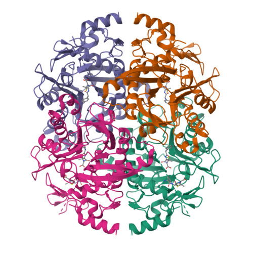 RCSB PDB - 3NDV: Crystal structure of the N-terminal beta ...