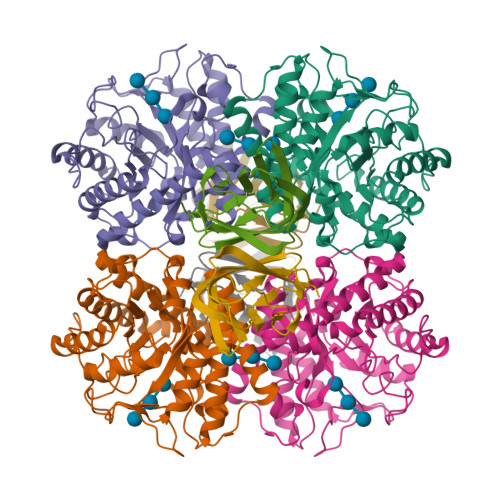 RCSB PDB - 3NDZ: The structure of the catalytic and carbohydrate ...