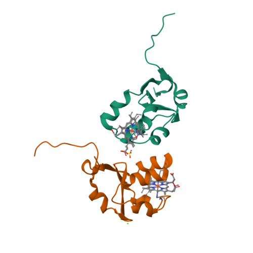 RCSB PDB - 3NER: Structure of Human Type B Cytochrome b5