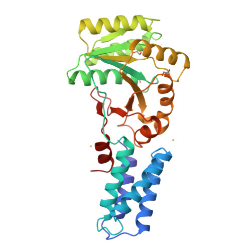 RCSB PDB - 3NG1: N AND GTPASE DOMAINS OF THE SIGNAL SEQUENCE ...