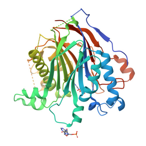 RCSB PDB - 3NGN: Crystal structure of the human CNOT6L nuclease domain ...