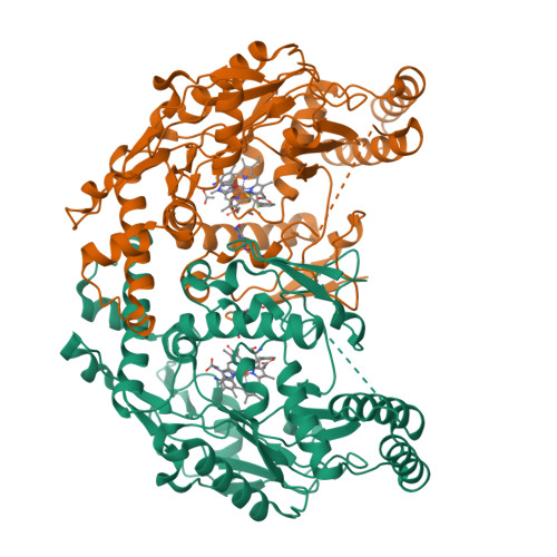 RCSB PDB - 3NLR: Structure of neuronal nitric oxide synthase D597N ...