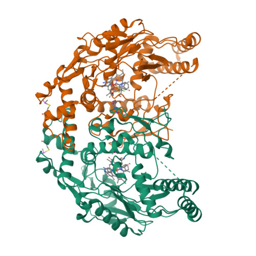 RCSB PDB - 3NLT: Structure of endothelial nitric oxide synthase heme ...