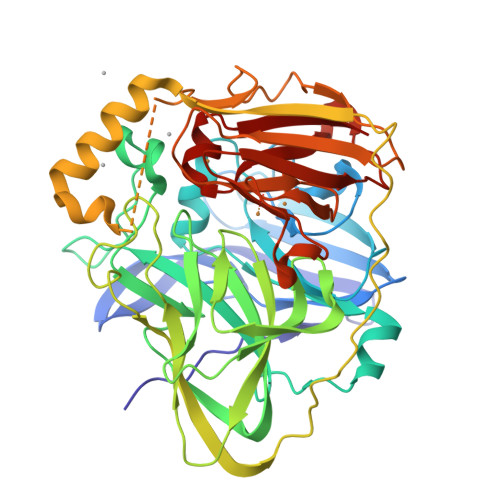 RCSB PDB - 3NSD: Silver bound to the multicopper oxidase CueO (untagged)