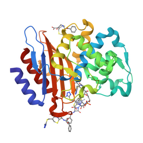 RCSB PDB - 3NY4: Crystal Structure of BlaC-K73A bound with Cefamandole