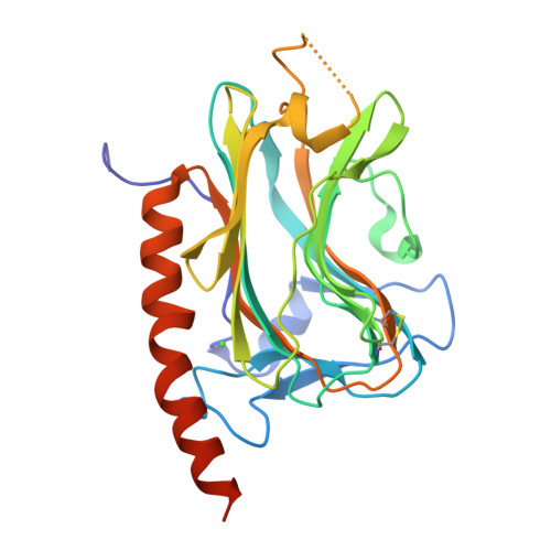 RCSB PDB - 3O0V: Crystal structure of the calreticulin lectin domain