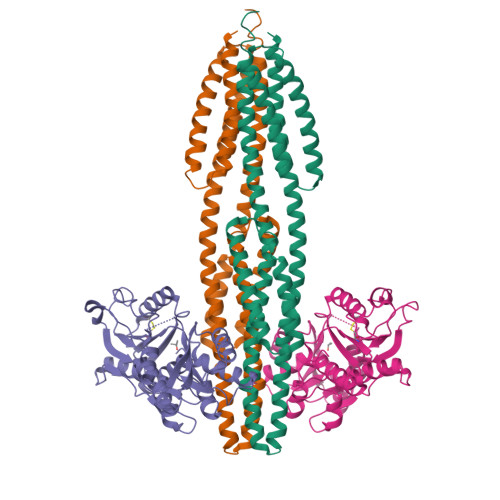 RCSB PDB - 3O1J: Crystal Structure of the TorS sensor domain - TorT ...