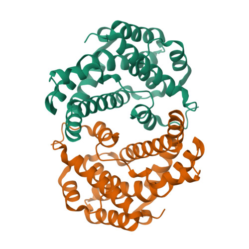 RCSB PDB - 3O1Q: Native Crystal Structure of Helicobacter pylori Urease ...