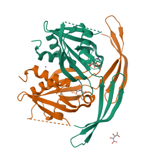 RCSB PDB - 3O52: Structure of the E.coli GDP-mannose hydrolase (yffh ...