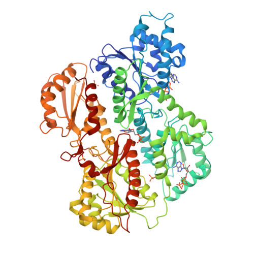 RCSB PDB - 3O8L: Structure of phosphofructokinase from rabbit skeletal ...