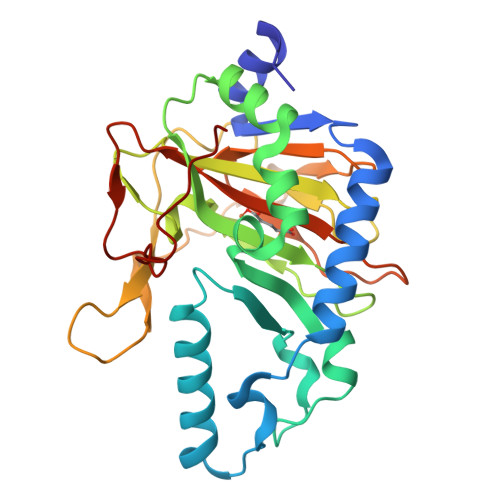RCSB PDB - 3OBZ: Crystal structure of human phytanoyl-COA dioxygenase ...
