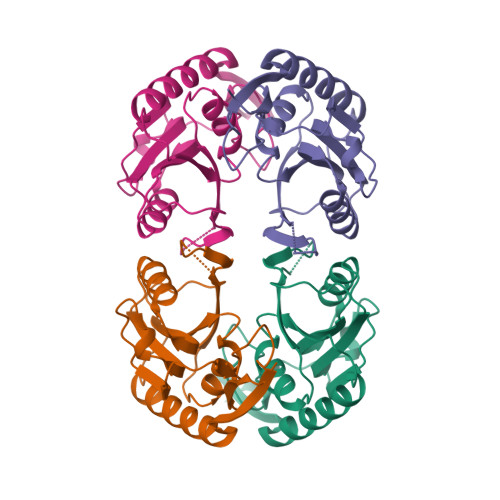 RCSB PDB - 3OHP: Crystal structure of HGPRT from Vibrio cholerae