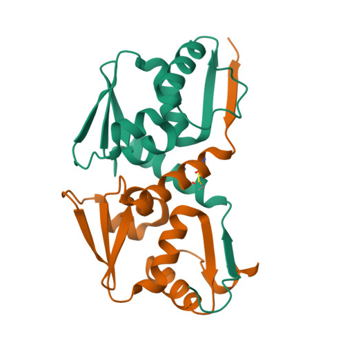 RCSB PDB - 3OHV: Crystal structure of the human Bach2 POZ domain, form II