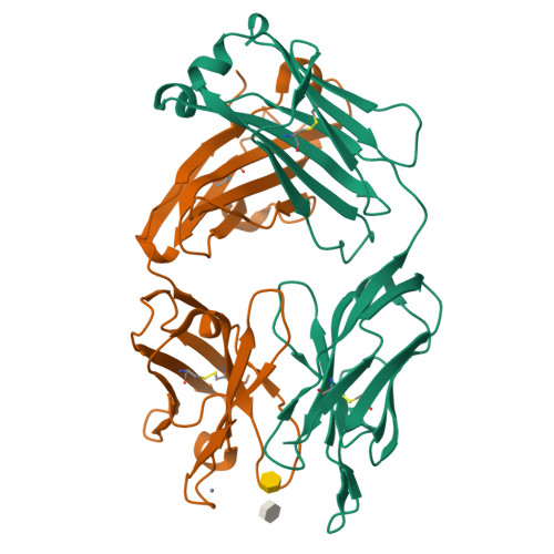 RCSB PDB - 3OKL: Crystal structure of S25-39 in complex with Kdo(2.8)Kdo