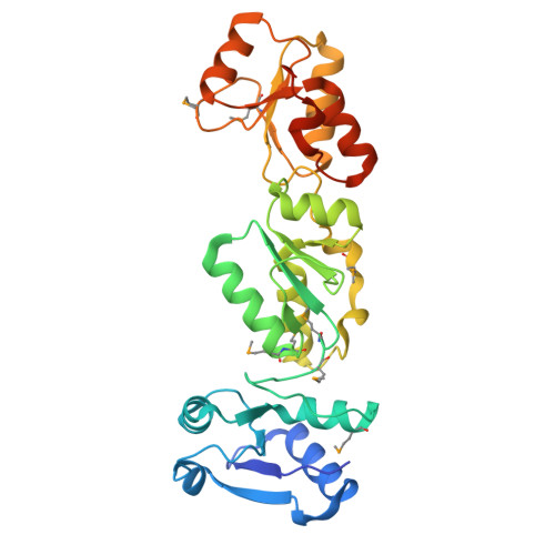 RCSB PDB - 3OLC: Crystal structure of the N-terminal region of TopBP1
