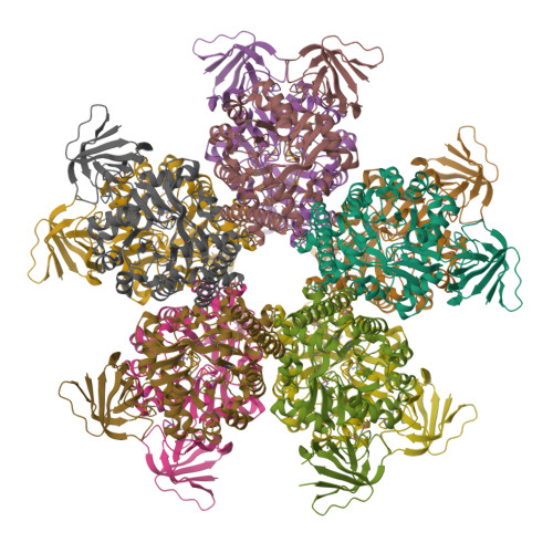RCSB PDB - 3OOQ: CRYSTAL STRUCTURE OF amidohydrolase from Thermotoga ...