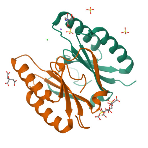 RCSB PDB - 3OQ2: Structure of a CRISPR associated protein Cas2 from ...