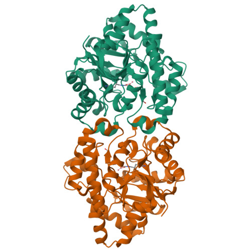 RCSB PDB - 3OQE: Structure of OpdA mutant Y257F