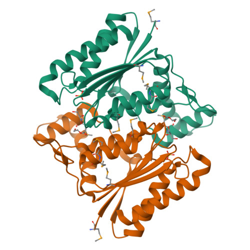 RCSB PDB - 3P0R: Crystal structure of azoreductase from Bacillus ...