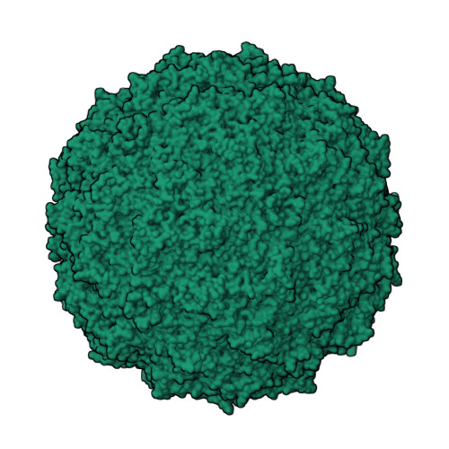 RCSB PDB - 3P0S: Crystal structure of Bombyx mori densovirus 1 capsid
