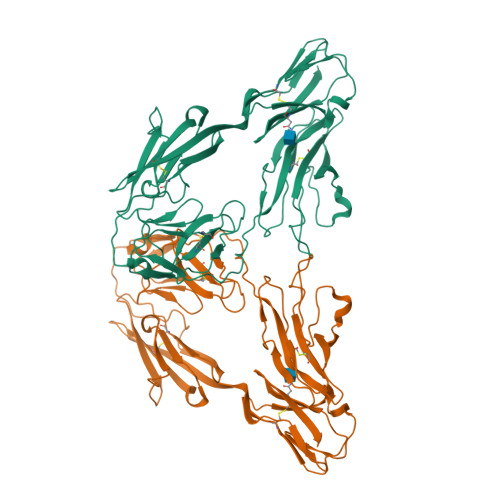 RCSB PDB - 3P3Y: Crystal structure of neurofascin homophilic adhesion ...