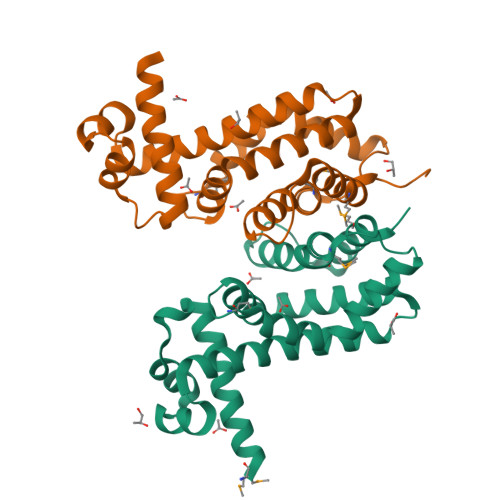 RCSB PDB - 3PAS: Crystal structure of a TetR family transcription ...