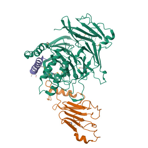 RCSB PDB - 3PBP: Structure of the yeast heterotrimeric Nup82-Nup159 ...