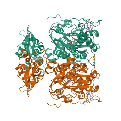 RCSB PDB - 3PC4: Full length structure of cystathionine beta-synthase ...