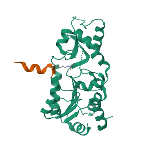 RCSB PDB - 3PDH: Structure of Sir2Tm bound to a propionylated peptide
