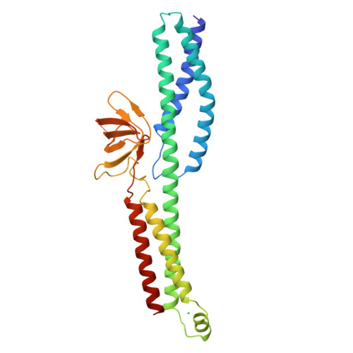 RCSB PDB - 3PE0: Structure of the central region of the plakin domain ...