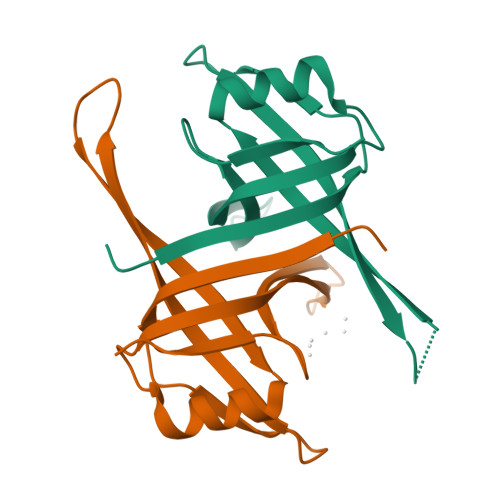 RCSB PDB - 3PGZ: Crystal structure of a single strand binding protein ...