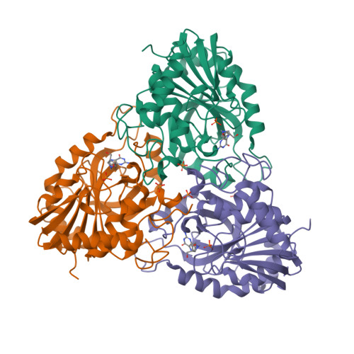RCSB PDB - 3PHB: Crystal Structure of human purine nucleoside ...
