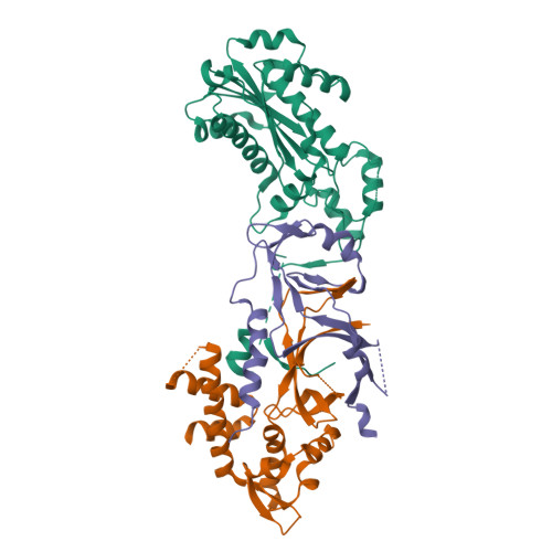 RCSB PDB - 3PUF: Crystal structure of human RNase H2 complex
