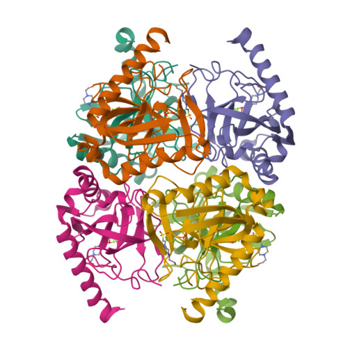 RCSB PDB - 3Q46: Magnesium activated Inorganic pyrophosphatase from ...
