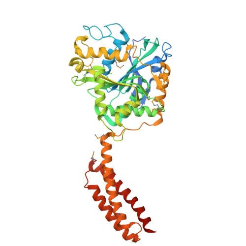 RCSB PDB - 3Q5D: crystal structure of human Atlastin-1 (residues 1-447 ...