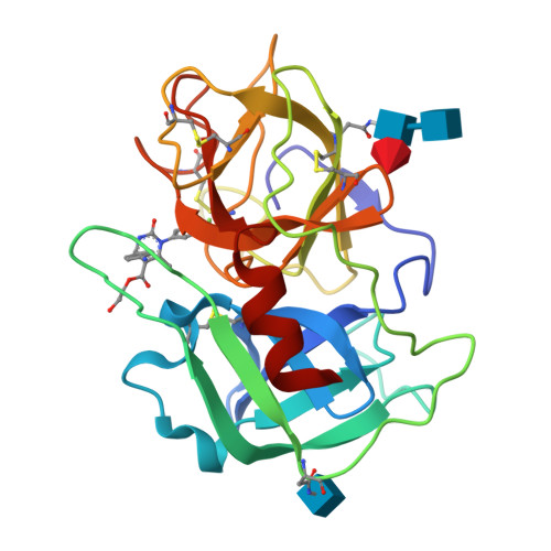 RCSB PDB - 3Q77: Structure of human neutrophil elastase in complex with ...