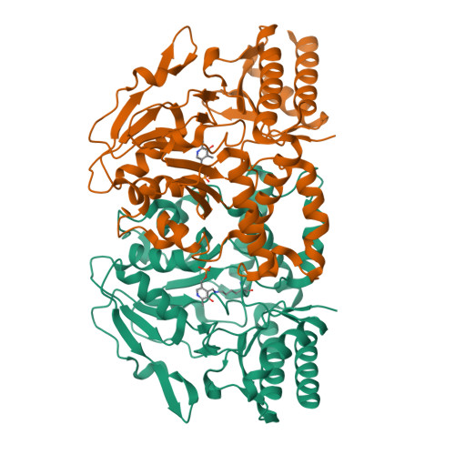 RCSB PDB - 3QBO: Crystal structure of phosphoserine aminotransferase ...