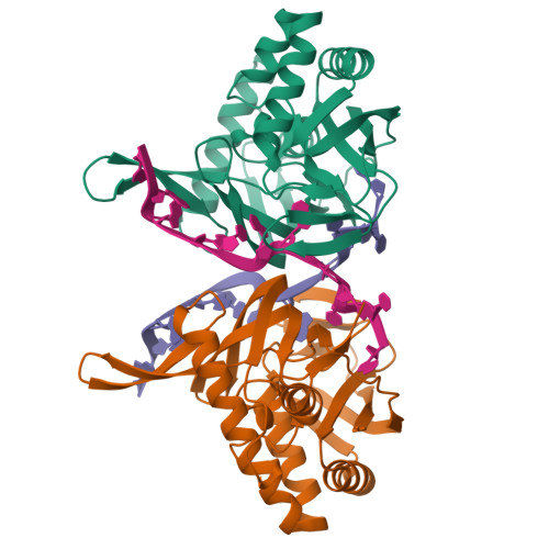 RCSB PDB - 3QJL: One RAMP protein binding different RNA substrates